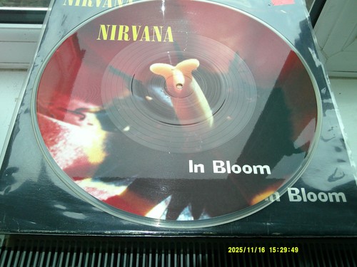 NIRVANA- 12" PICTURE DISC- IN BLOOM-EX. | eBay UK
