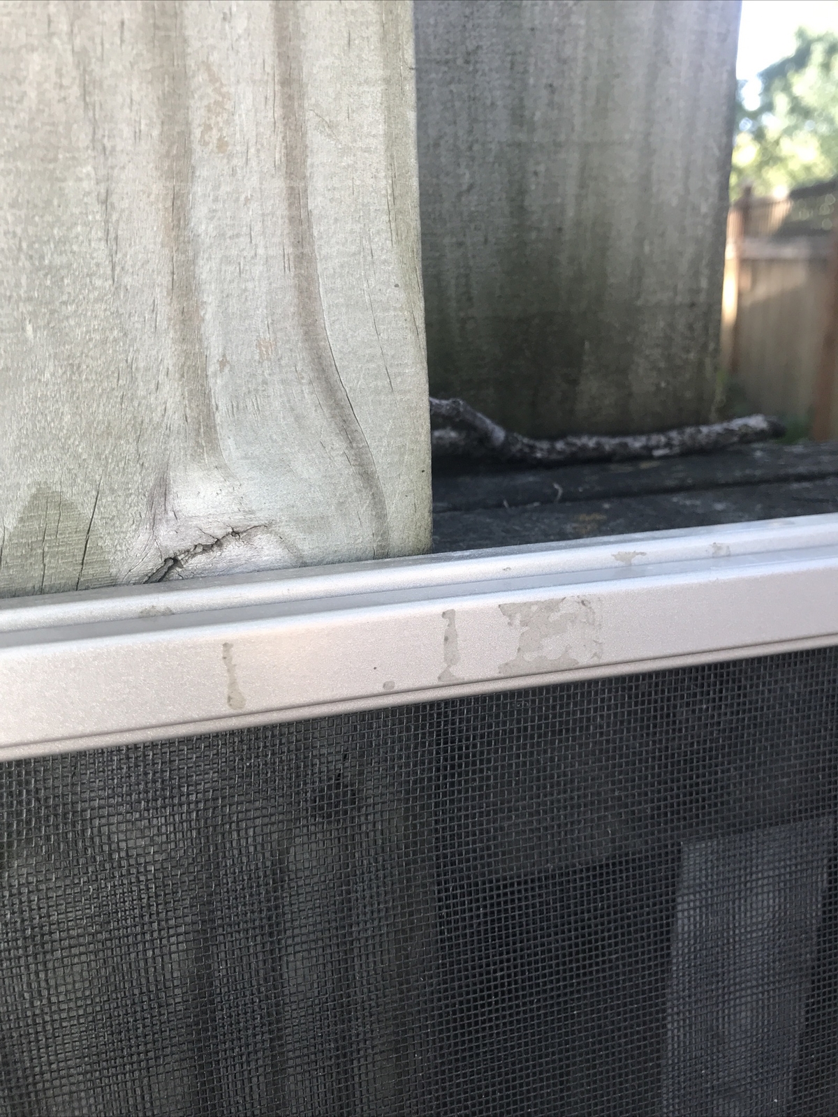 1 PELLA PROLINE CASEMENT WINDOW SCREEN 20 1/2x60 1/8 Local PU Champagne ...