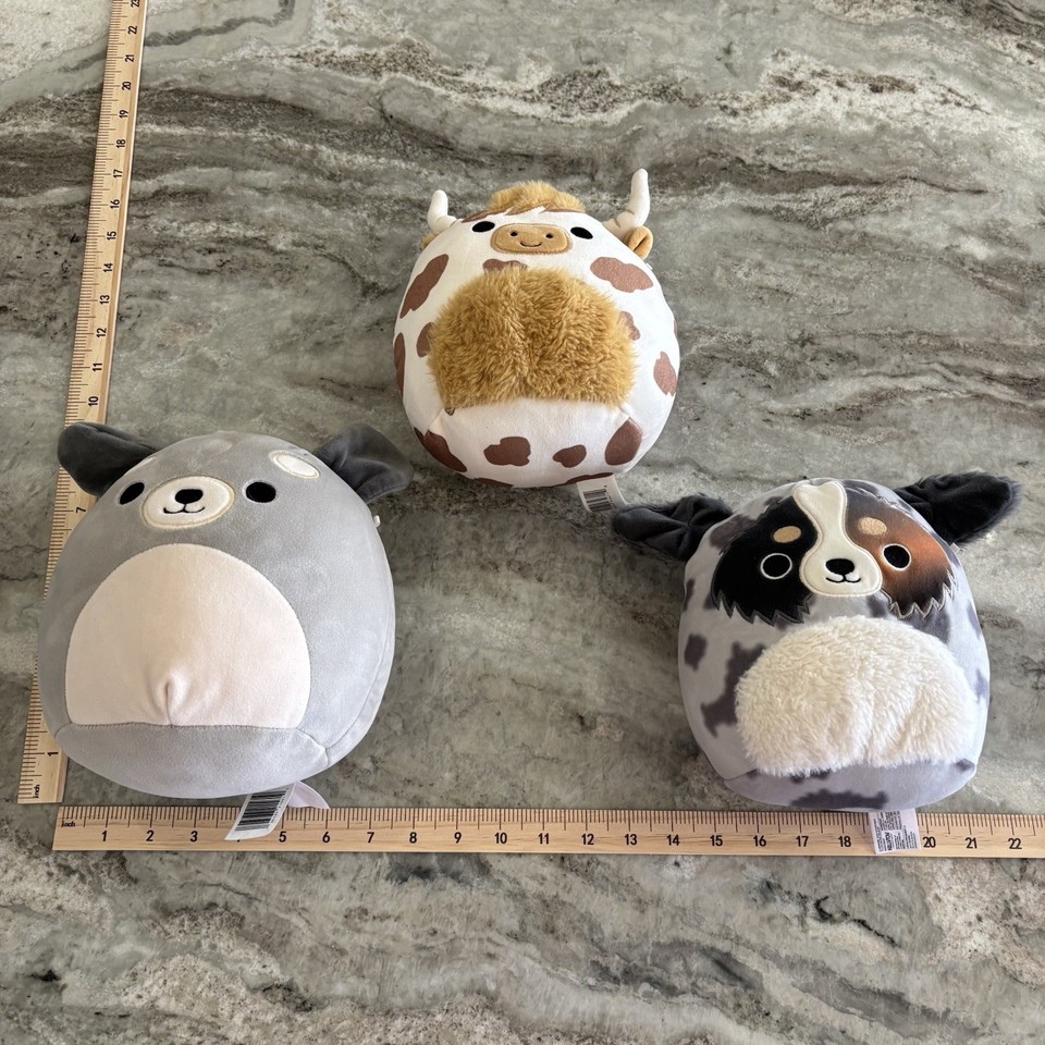KellyToys Squishmallow 8" Plush, Lot of 3, Alonzo Longhorn Brian Raylor ...