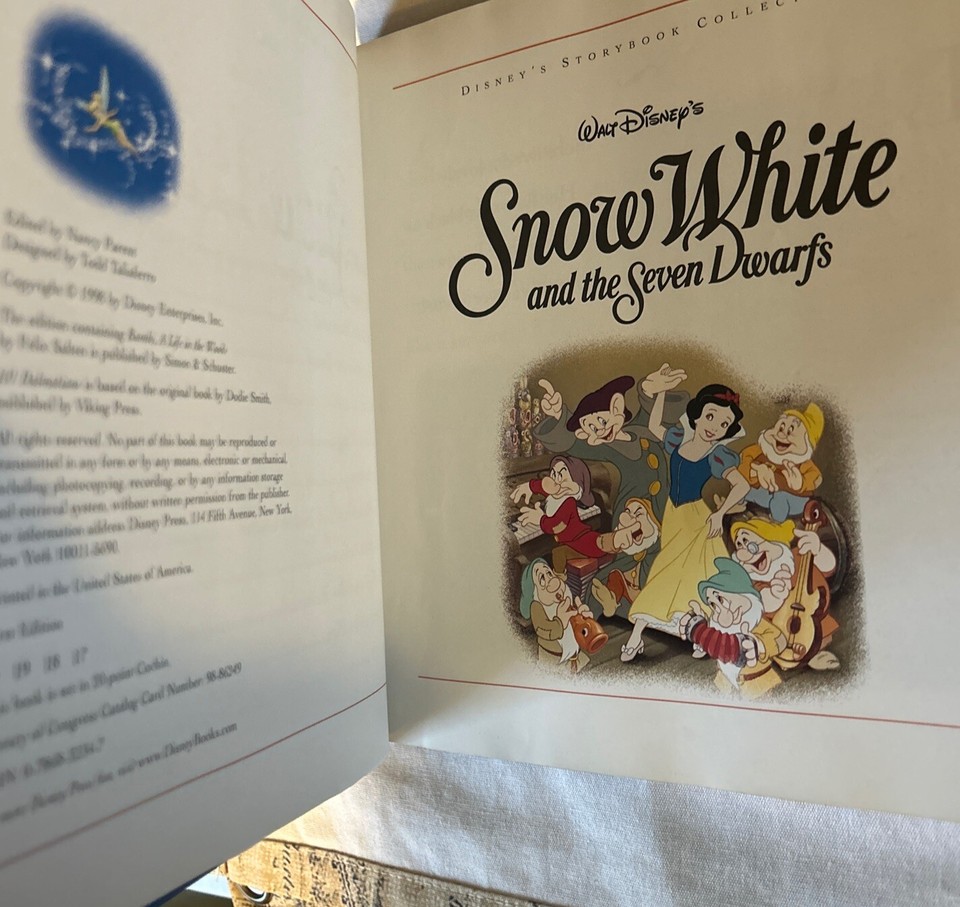 VTG Disney’s Storybook & Princess Collection Disney Book Group Staff ...