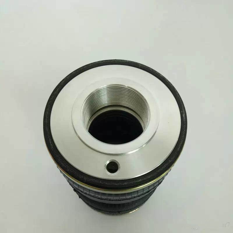 Sn120180bl2-dt D2 Coilover Air Suspension Airspring airbag Shock ...