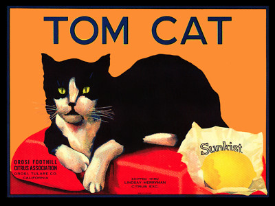 Vintage Quality POSTER.Tom CAT.Pet Decor.Lovely art.House Interior ...