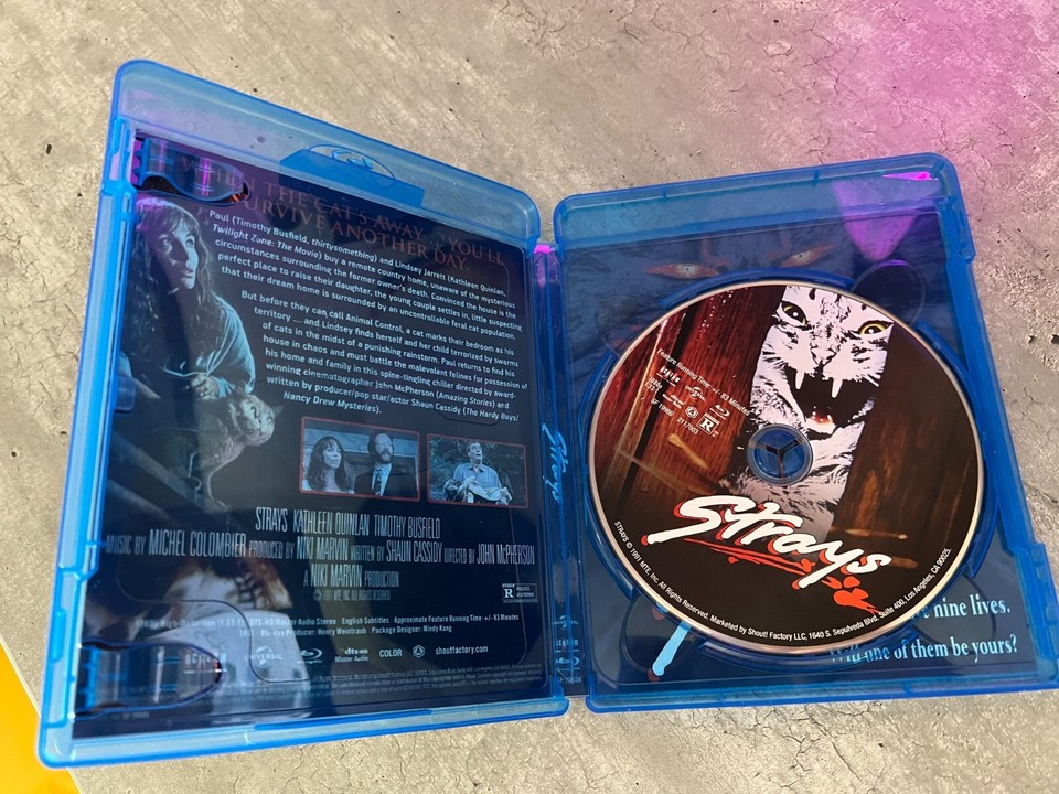 Strays (Blu-ray, 1991) - Scream Factory - Like New 826663199864 | eBay