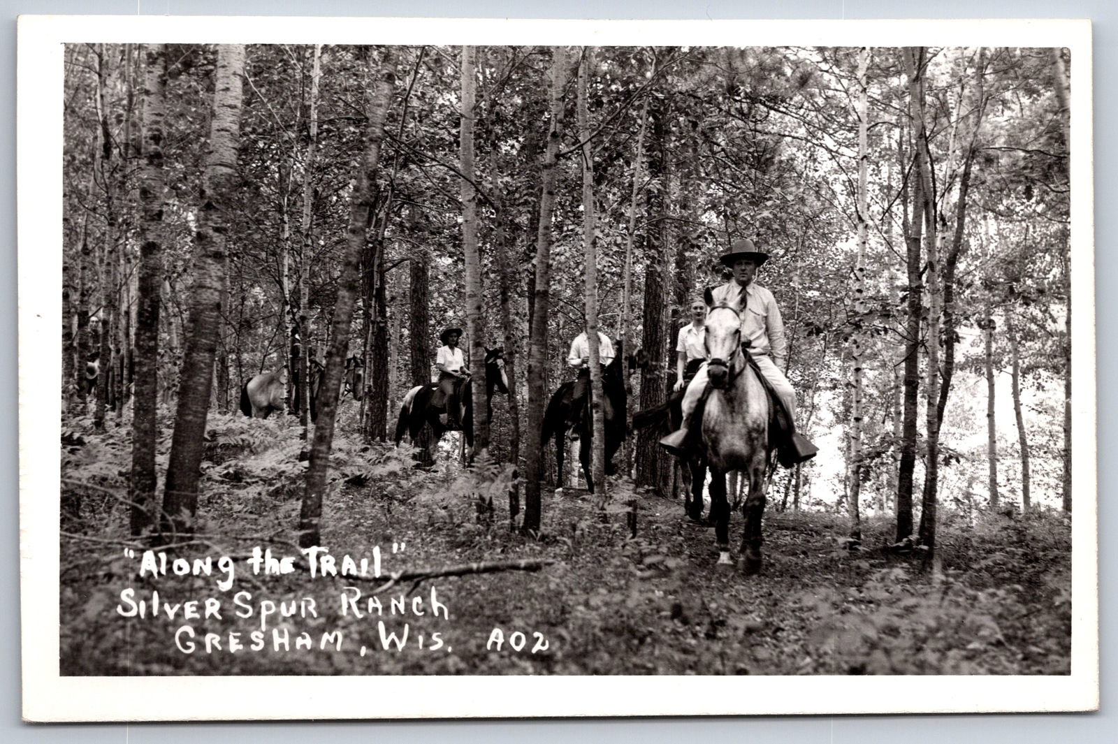 Gresham Wisconsin~Silver Spur Ranch~Horse Riders Along Trail~Birches ...