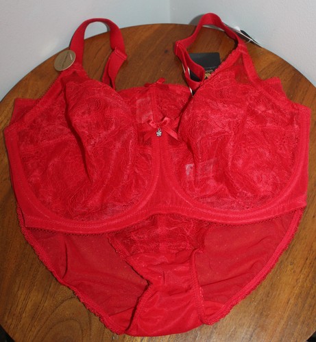 WACOAL RETRO CHIC FULL FIGURE BRA (34DDD) & HI-CUT BRIEF (7-L) COMBO ...