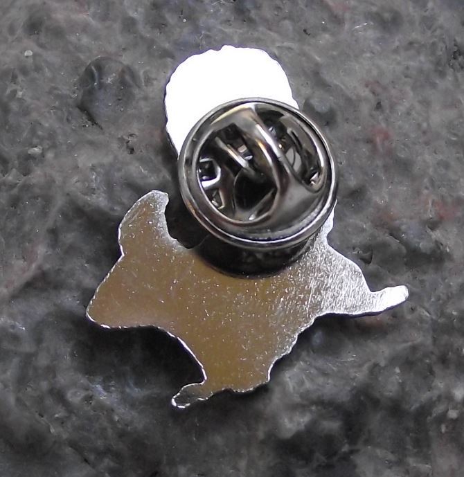 Bushy Tailed Red Squirrel Woodland Tree Animal Wildlife Brooch Pin ...