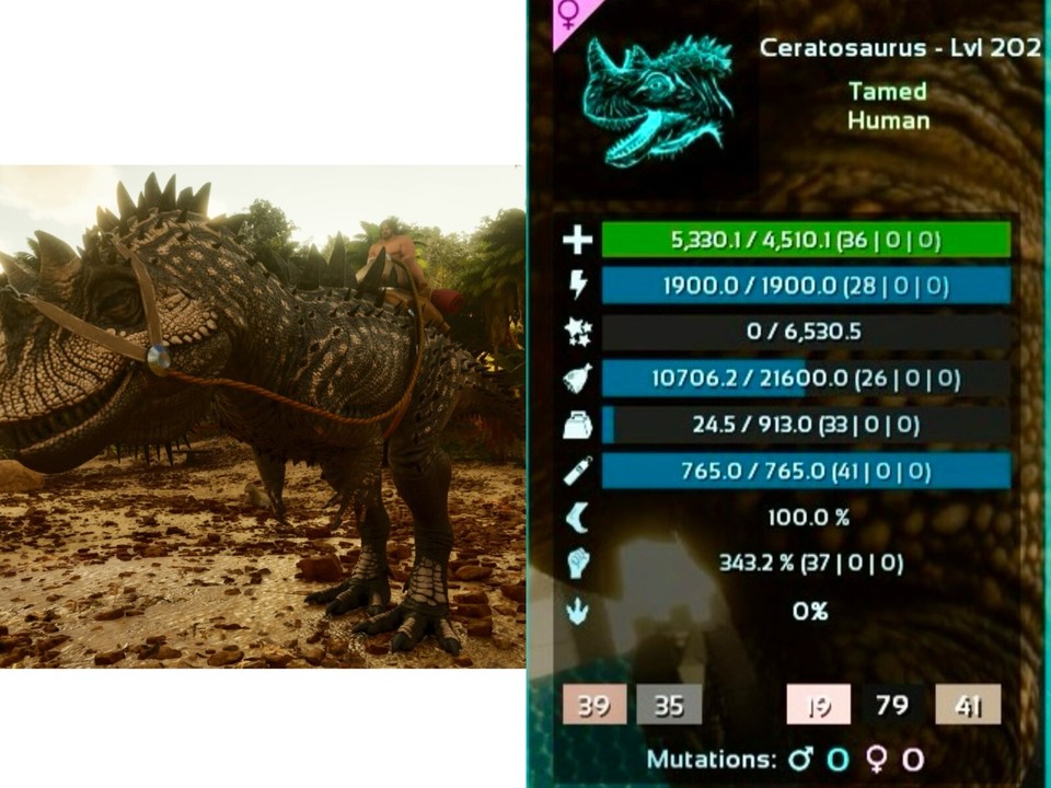 ark survival ascended pve High Level Ceratosaurus | eBay