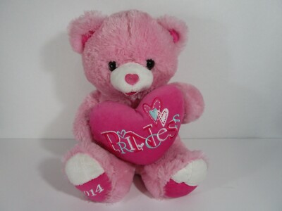 Pink Princess Sweetheart Teddy 18" Stuffed Plush DanDee Collector's ...