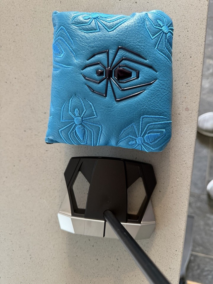 TaylorMade Spider ZT Counterbalance Putter 38 RH | eBay UK