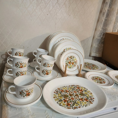 Corelle Indian Summer Set | eBay