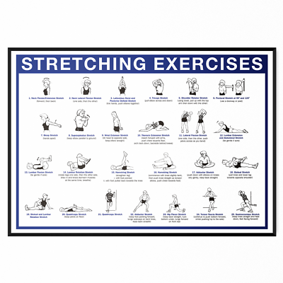 Basic Stretches Chart