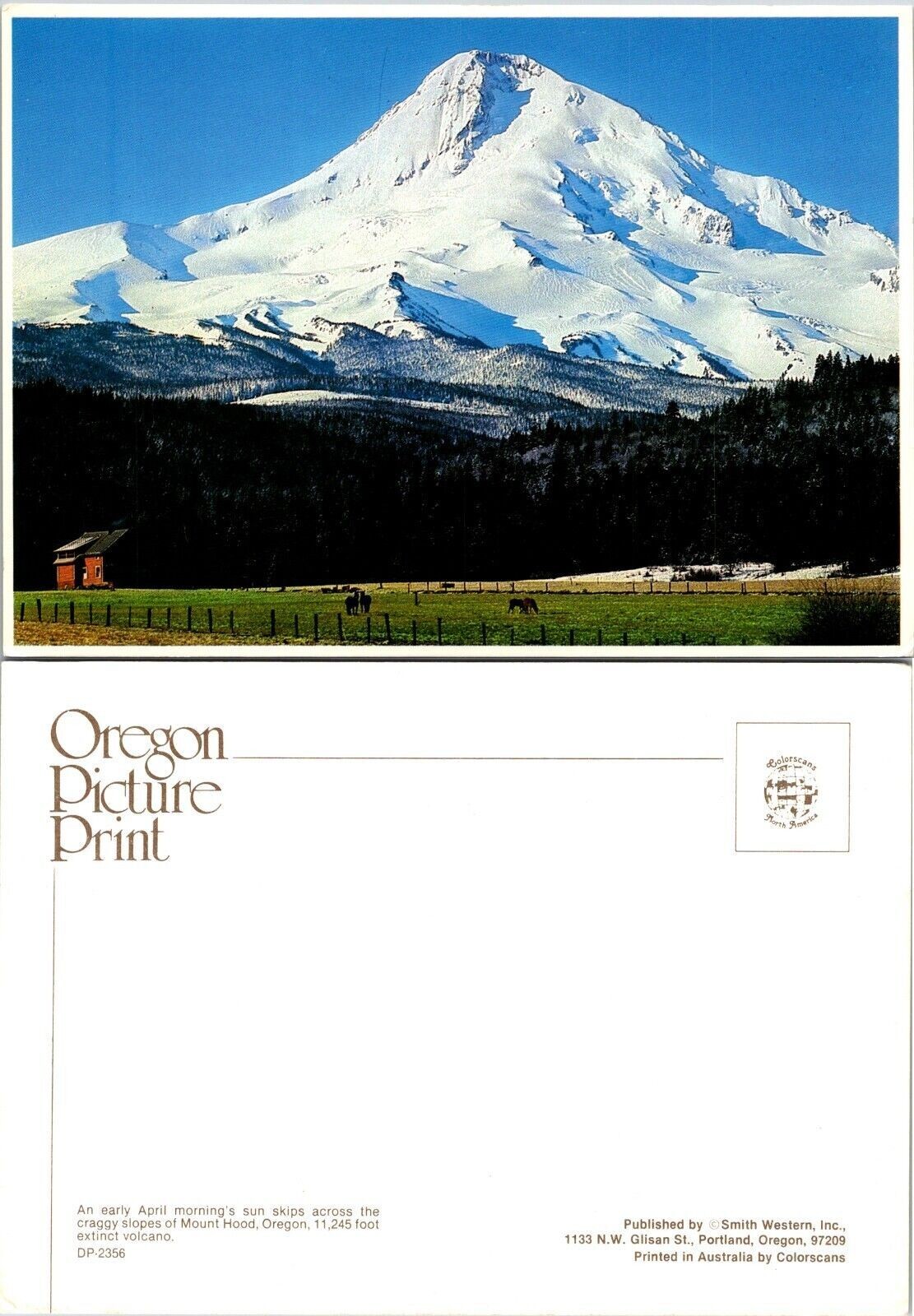 One(1) Oregon Mount Hood Snowy Horses April Morning Extinct Volcano VTG ...