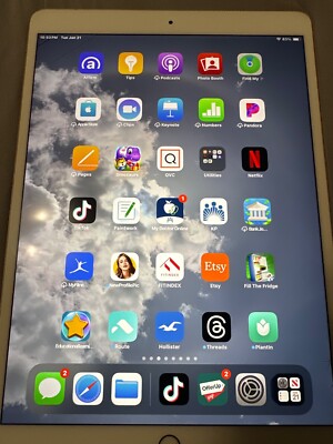 Apple iPad Pro WITH TIKTOK (10.5-inch) A1701 64 GB, Wi-Fi, 10.5 in ...