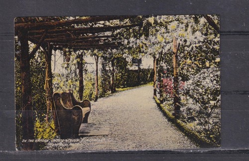 CAPE OF GOOD HOPE, RONDENBOSCH, GROOTE SCHUUR, IN THE GARDEN, c1910 ppc ...