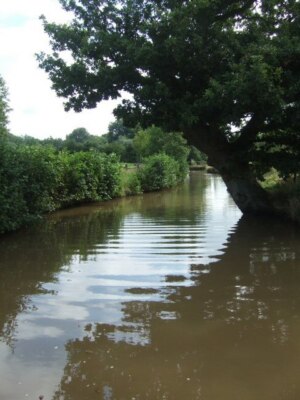 Photo 6x4 Moat Stream Birchden Supplies the water for Groombridge House ...