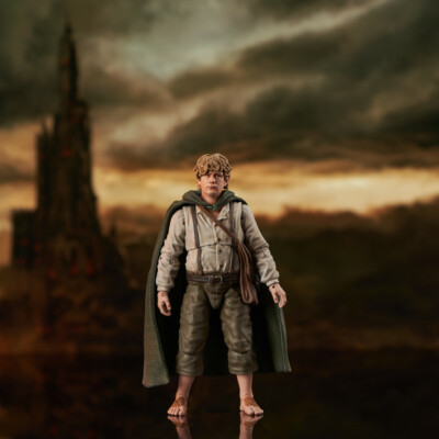 LORD OF THE RINGS - Select Series 6 - Samwise Gamgee Action Figure ...