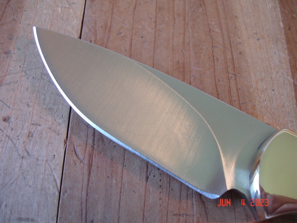 NIB BUCK KNIFE 113 BUCKMASTER SKINNER ROSEWOOD HANDLE 420HC BLADE ...