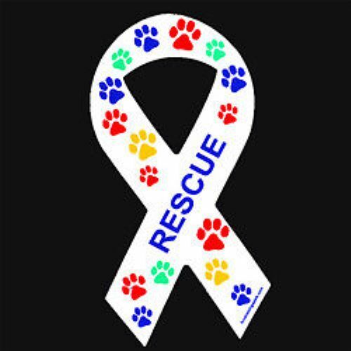 Multicolor Paw Print Rescue Ribbon Magnet | eBay