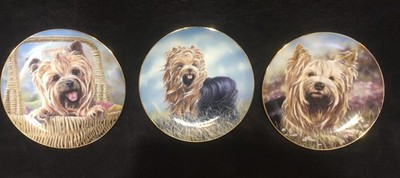 Danbury Mint Yorkshire Terriers Plates Set of 3 Paul Doyle Ltd Ed 8" | eBay