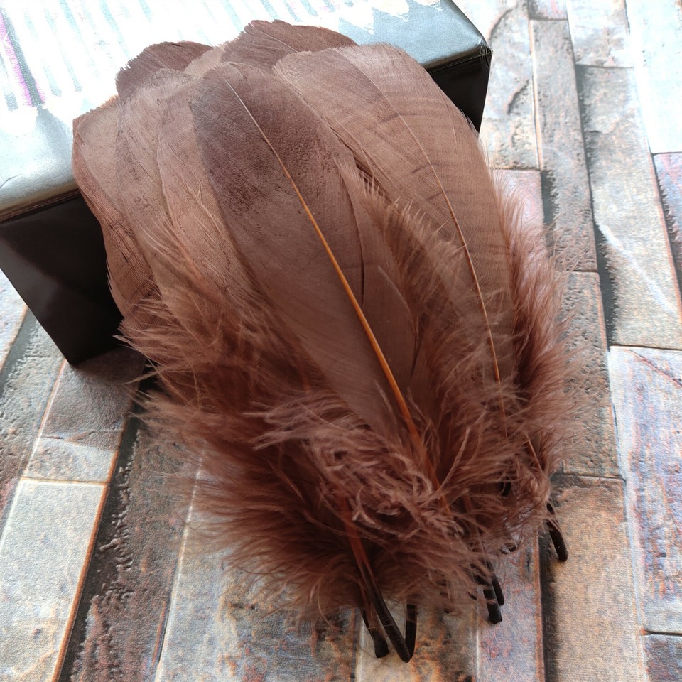 Wholesale 20-100 Pcs Pretty Natural Goose Feathers 12-18 cm/5-7 inches ...