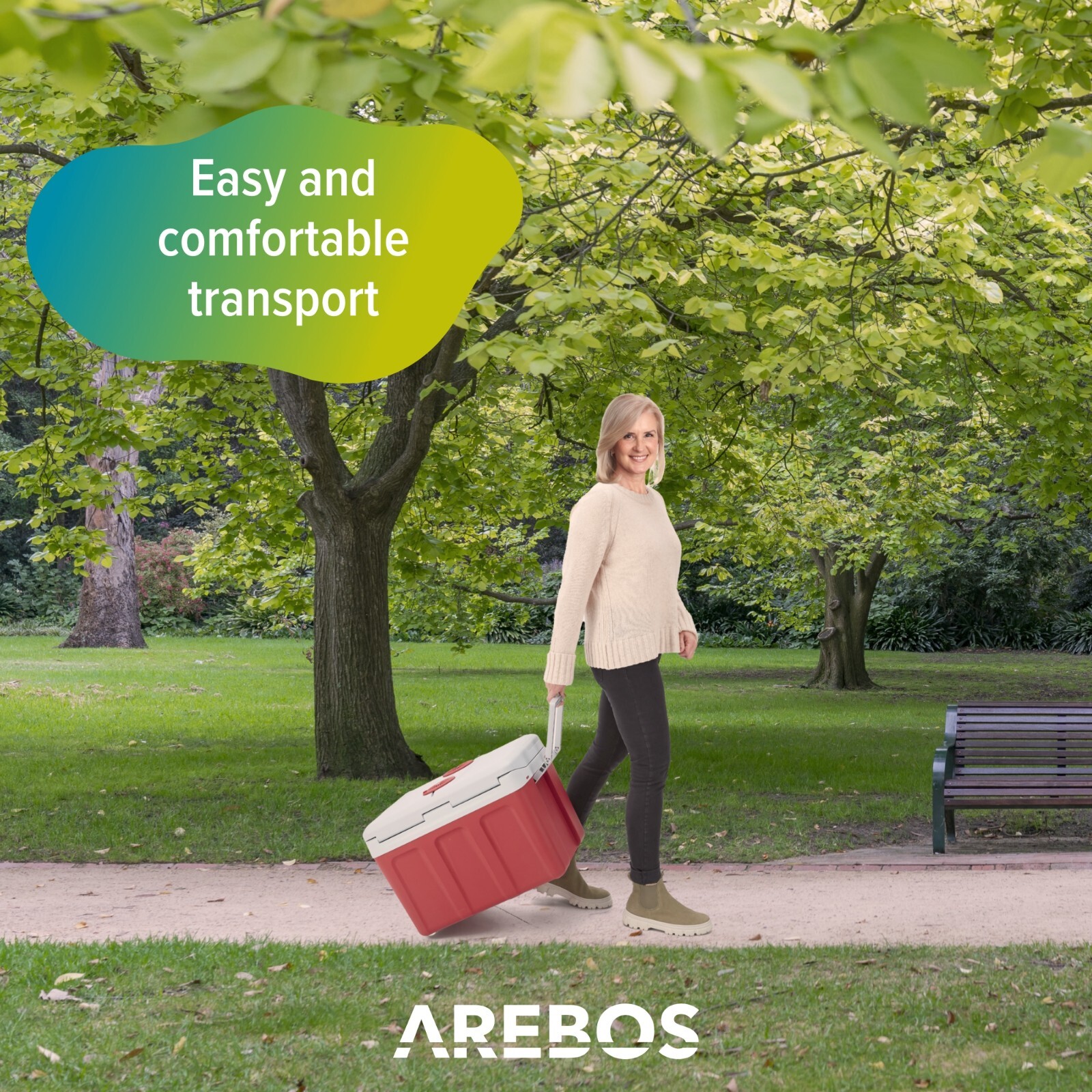 AREBOS cool box 40L car thermoelectric warming box 12V 230V ...