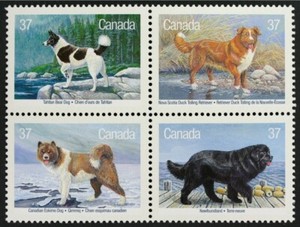 Neo-Trends Stamp Company | eBay Stores