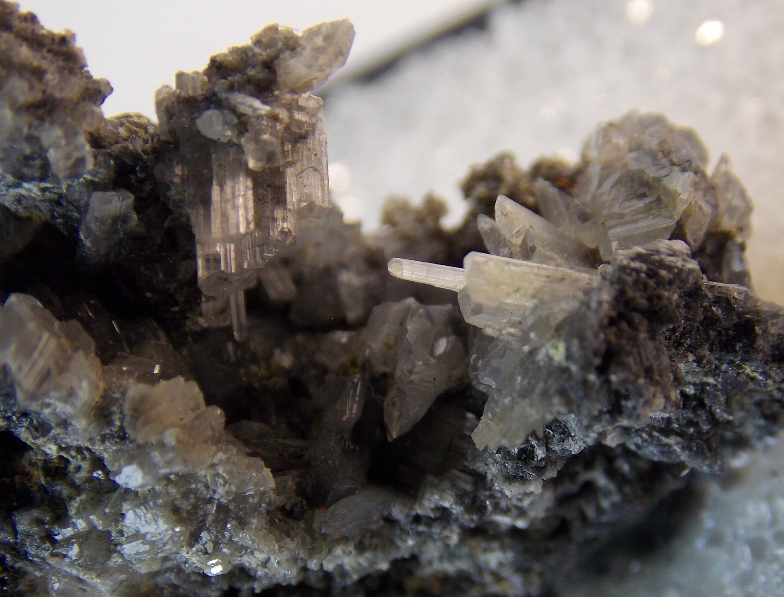 CERUSSITE CRYSTALS - 2.7 cm - Old Collection - SHERMAN MINE, BURKE ...