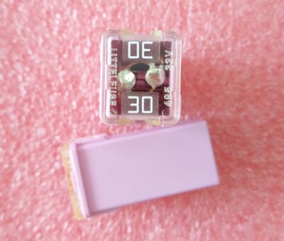 5PCS New 0495030 Littelfuse 495 Square Car Fuse 30A 32V JCASE Cartridge ...