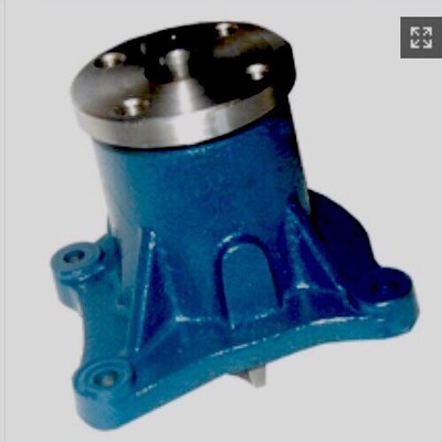 Cat 1252989 Water Pump A Fits Caterpillar 5I7693 3064 3066 320B 320B L ...