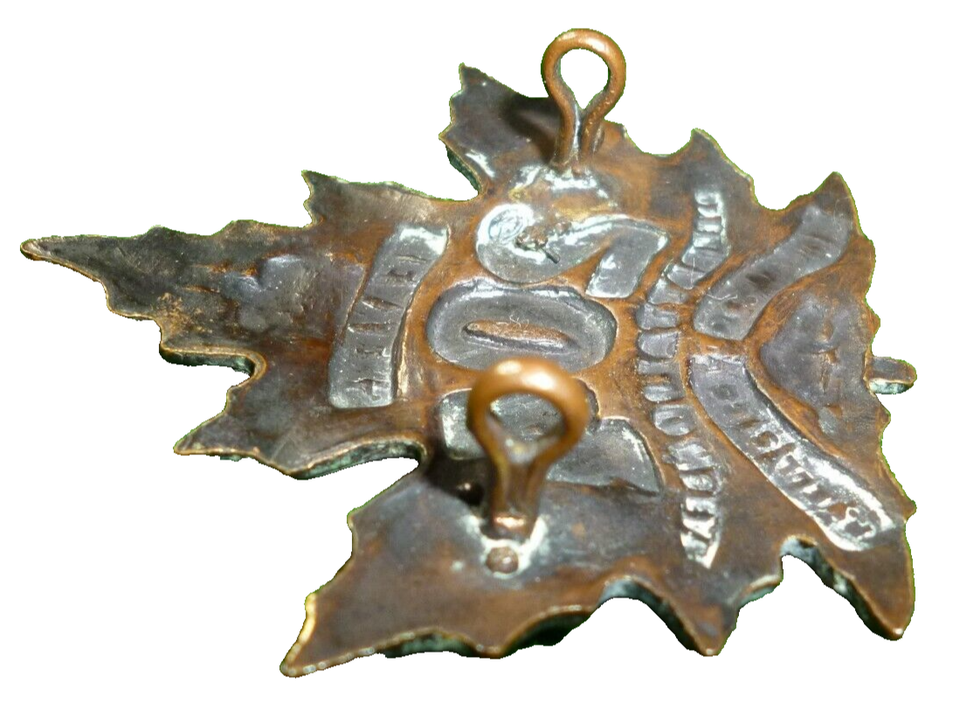 204th Battalion (Toronto Beavers) Cap Badge, CEF WW1, Canadian | eBay