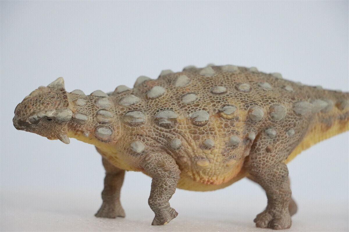 Brachyceratops Size Simulation Dinosaurs Model, Spiny Ankylosaurus