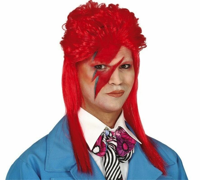 70s David Bowie Mullet Spiked Glam Punk Rock Star Music Fancy Dress ...