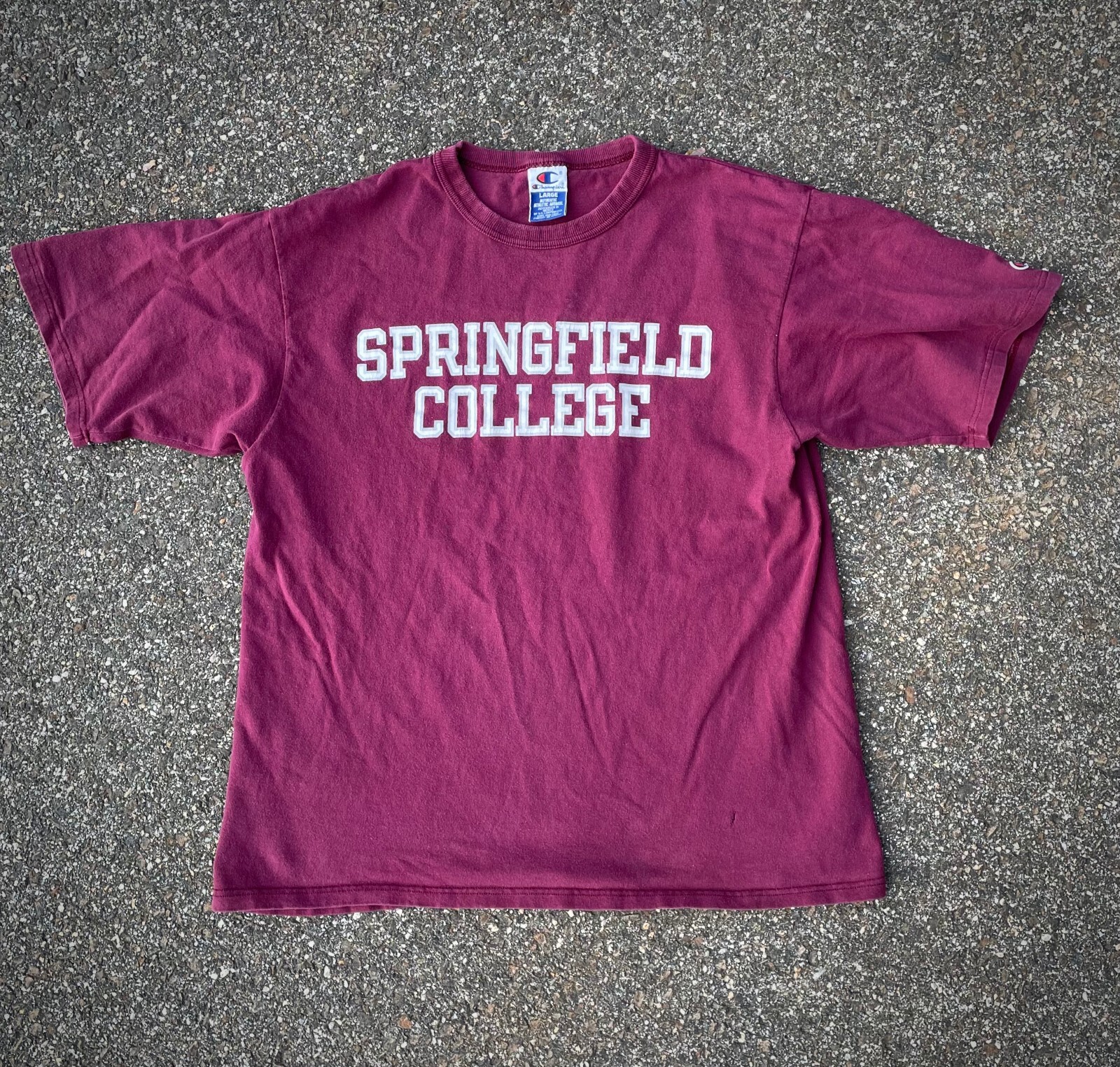 Vintage Springfield College Champion Shirt Mens Large - Gem