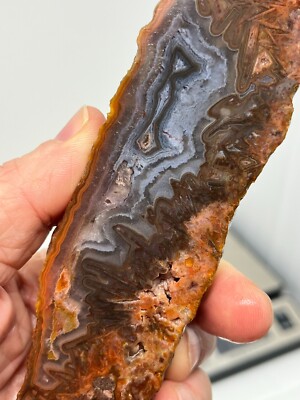 Turkish Stick Agate Slab Cabbing Lapidary Collecting Combo Ship Avail ...