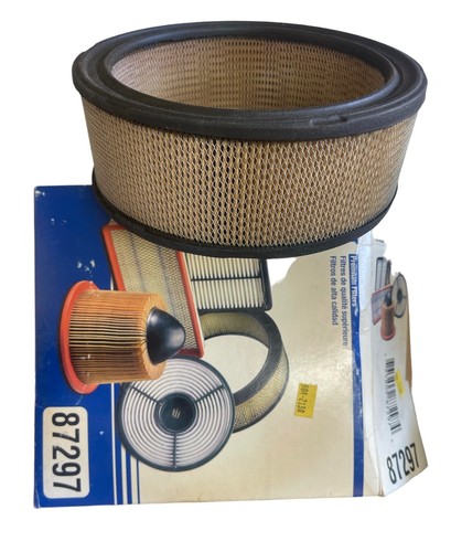 Carquest 87297 Air Filter | eBay