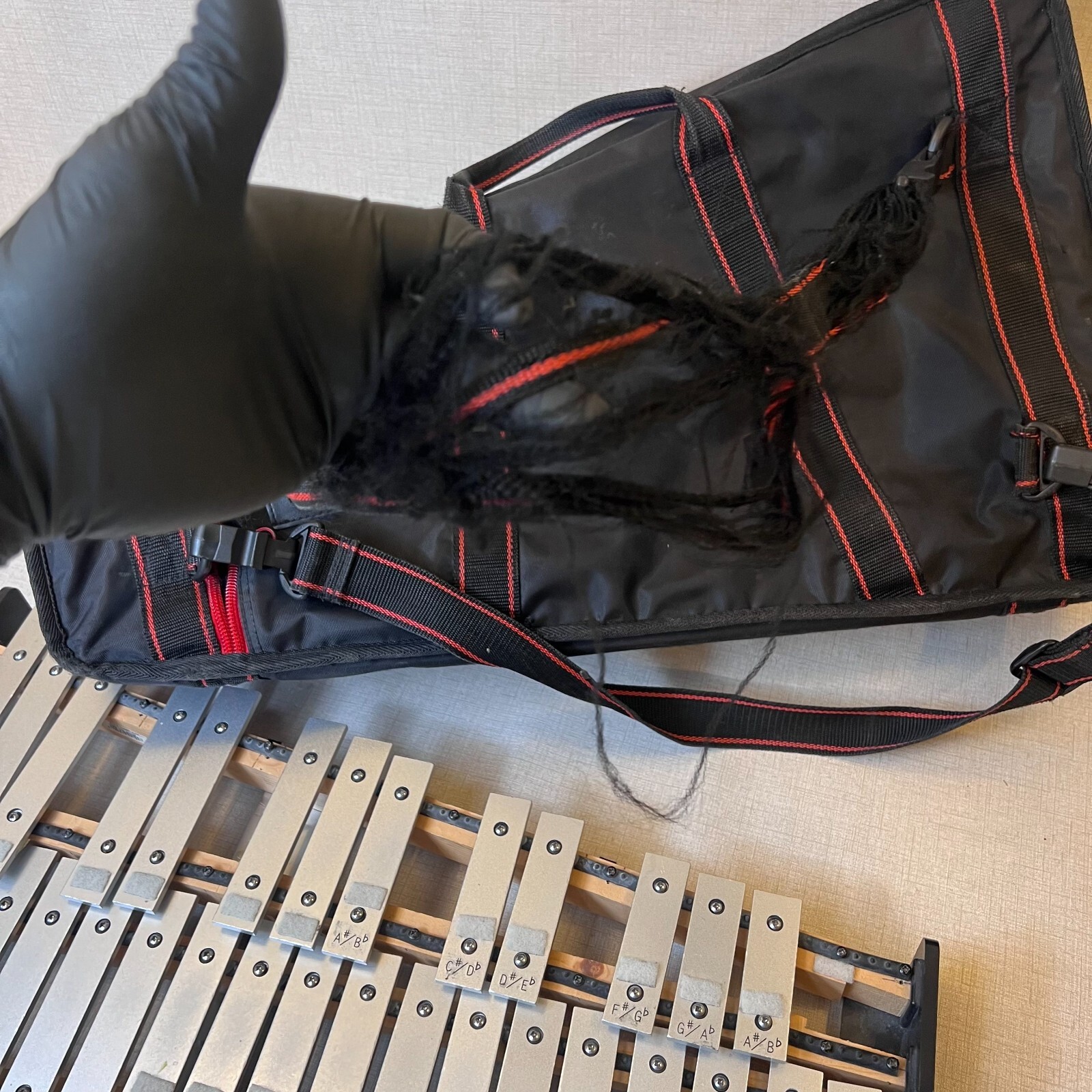 Vic Firth 32 Key Student Xylophone with Backpack Carrying Case and ...