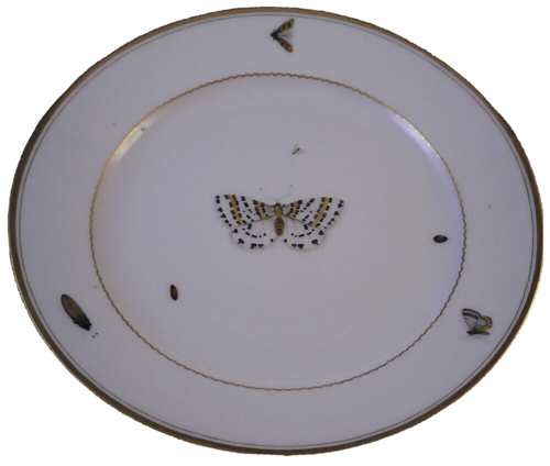 Antique ~1800 Paris Potter Porcelain Insect Plate Porzellan Teller ...