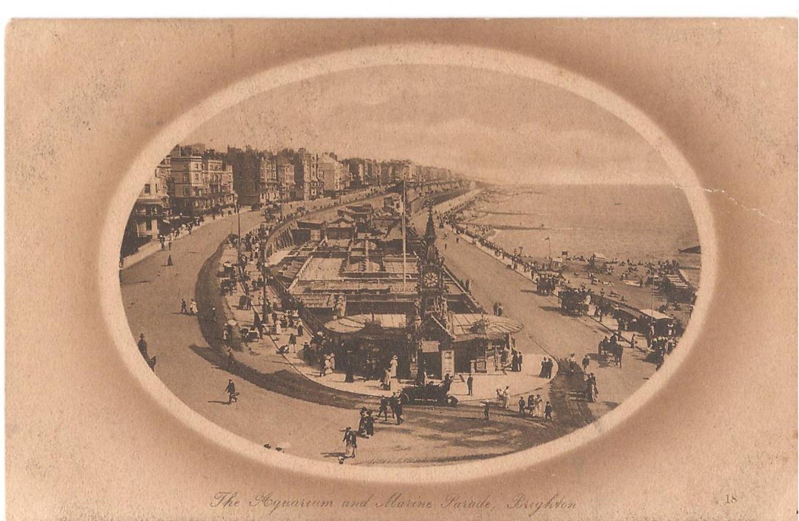 1910 picture postcard THE AQUARIUM & MARINE PARADE BRIGHTON HALFTONE ...