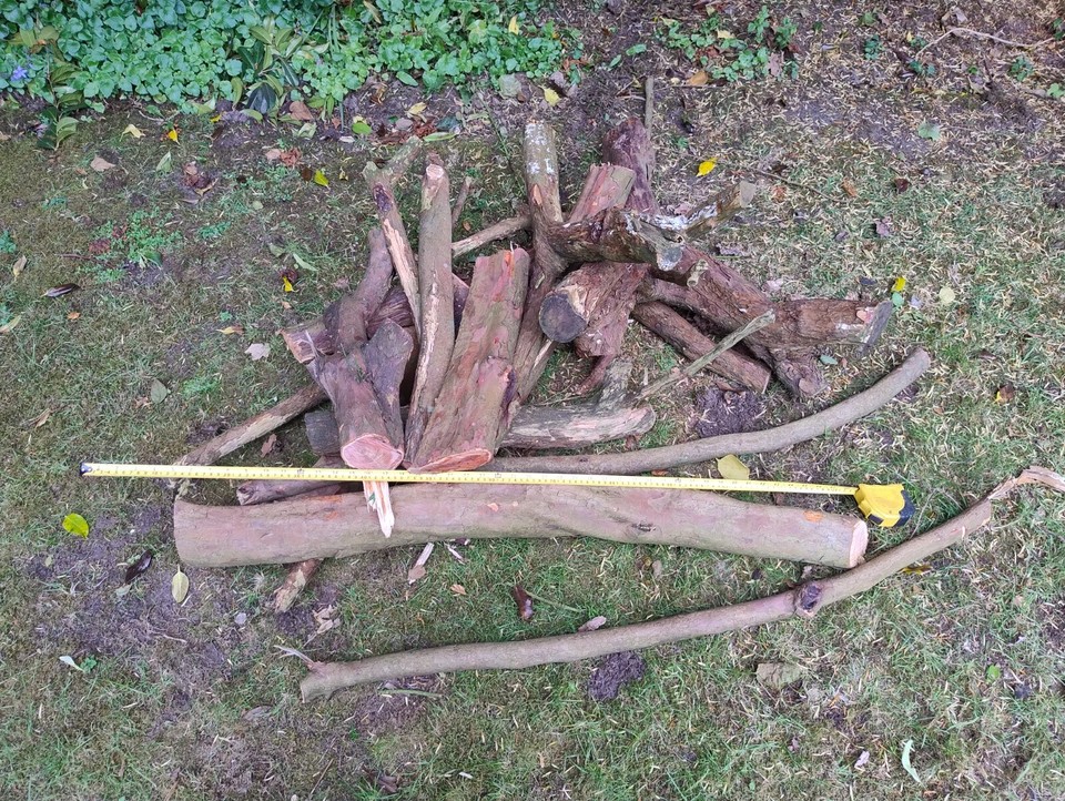 Yew Wood Logs Job Lot for Wood Turning Carving Crafts Projects etc ...
