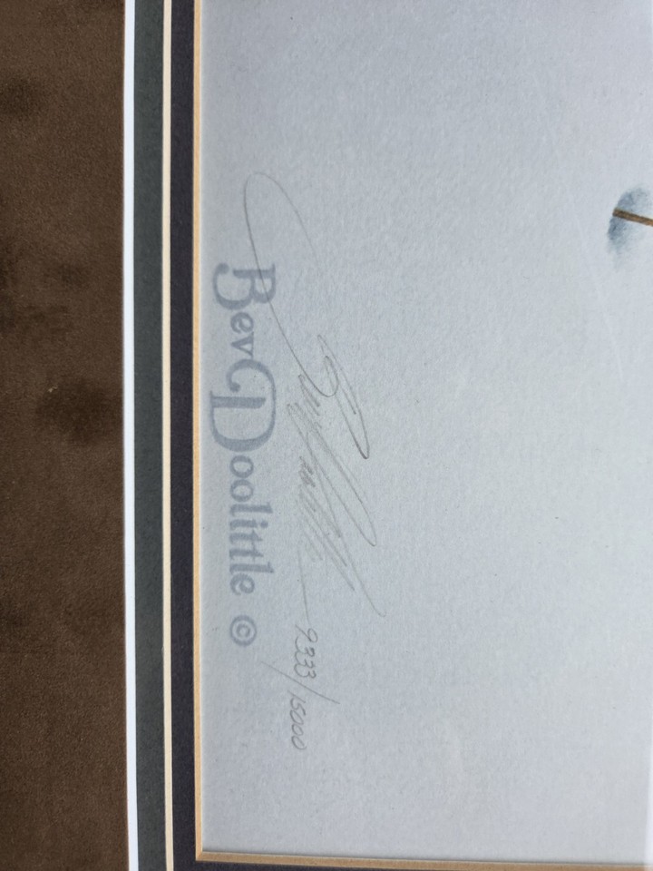 *Bev Doolittle "DOUBLED BACK"-LIMITED EDITION-Camoflauge-Indian Fine ...
