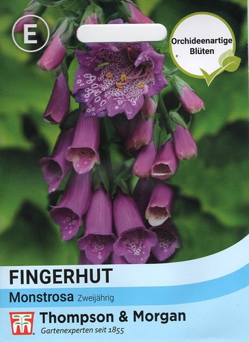 Fingerhut 'Monstrosa' - Digitalis purpurea, Landhausgarten, Samen, 9032 ...