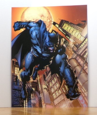 DC COMICS THE NEW 52 POSTER 12X16 DOUBLE SIDED POSTER BATMAN STRIKES ...
