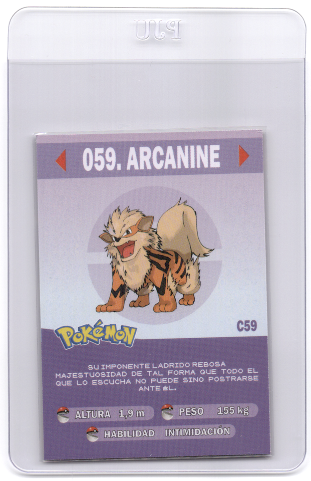 Pokemon Peruvian Arcanine | eBay