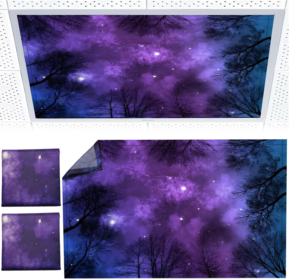 2Pcs Fluorescent Light Covers - Light Covers for Ceiling Lights ...