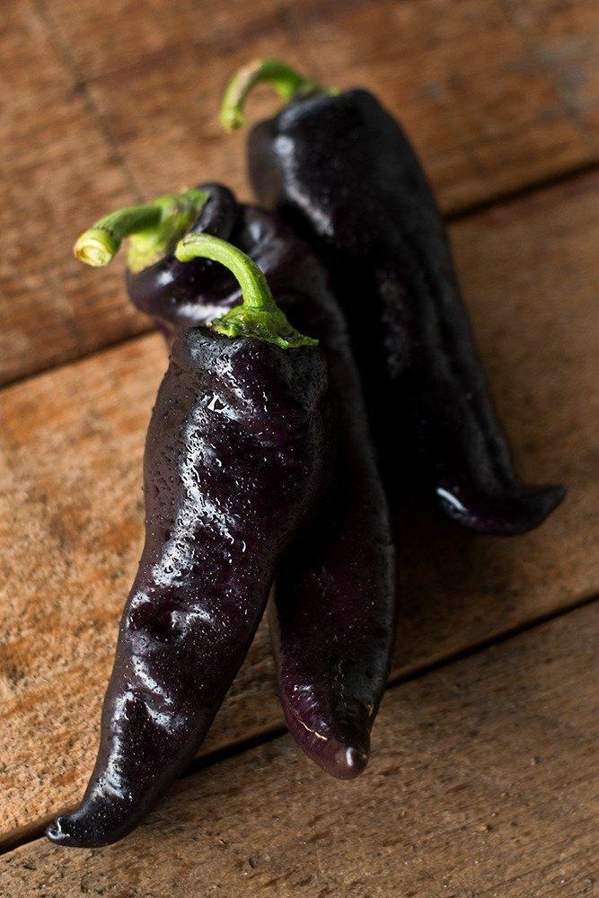 Purple Marconi Pepper - Sweet Purple Pepper - 5+ seeds Ca 006 | eBay UK