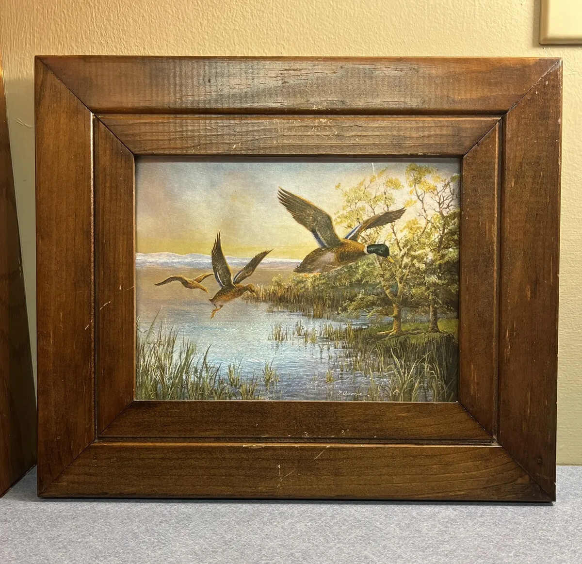 Vintage F. Osborne Print - Mallard Ducks 12.5 x 10.5" Foil Art Wood ...