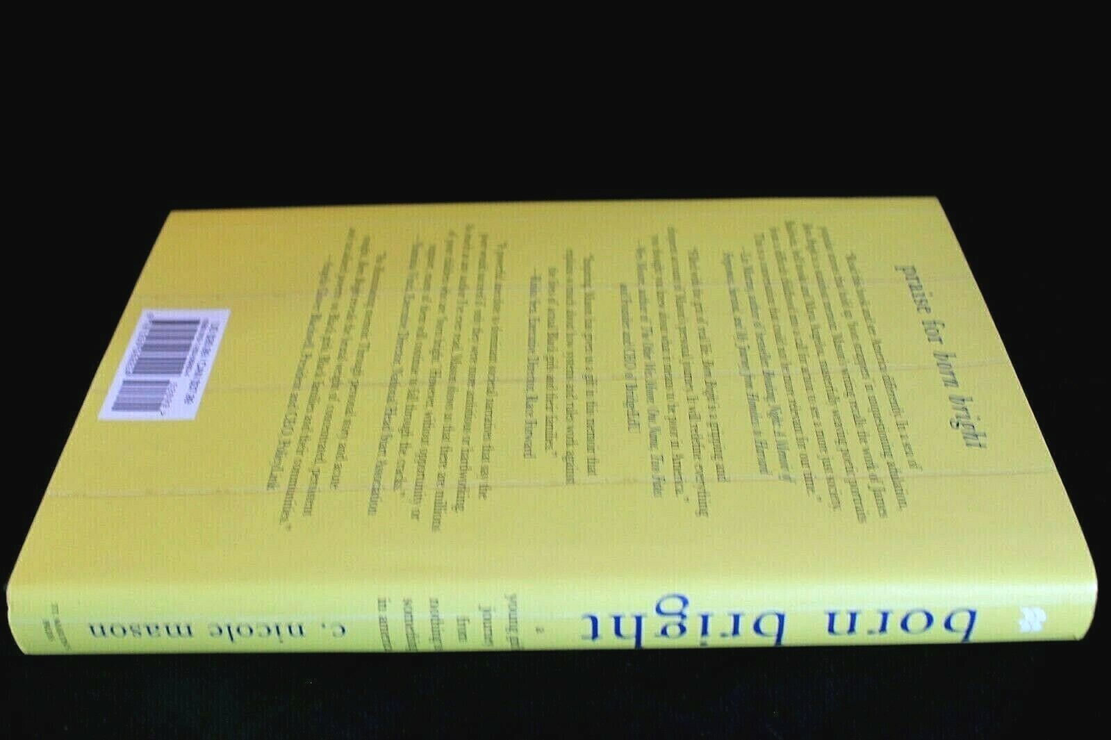 Born Bright : A Young Girl's Journey from Nothing to Something in ...