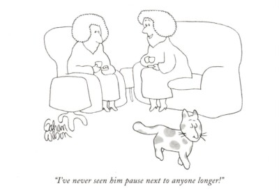 Funny Snob Snobby Cat Kitten The New Yorker Cats Gahan Wilson Postcard ...