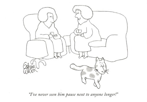 Funny Snob Snobby Cat Kitten The New Yorker Cats Gahan Wilson Postcard ...