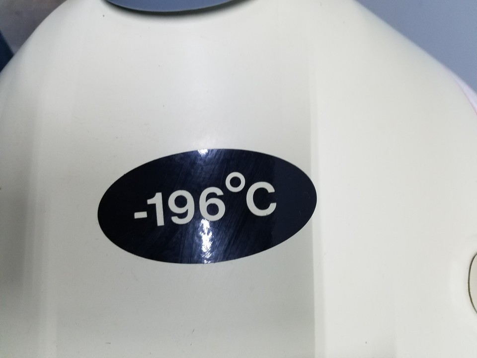 Norhof LN2 35 Liter Dewar Tank For Liquid Nitrogen Dosing System w ...